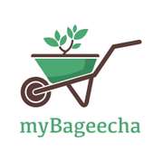 Mybageecha - An Ecommerce Bootstrapped Company Based Out Of Ahmedabad